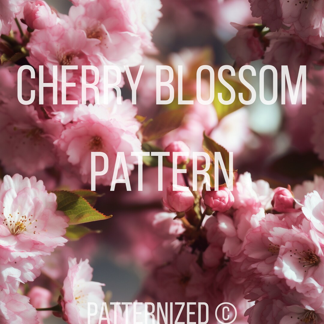 Cherry Blossom Digital Paper - Pattern - Seamless Cherryblossom Pattern ...