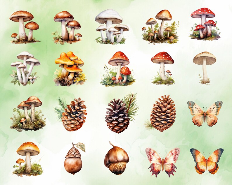 Woodland PNG Clipart 120 Transparent Woodland Animals Huge PNG Bundle ...