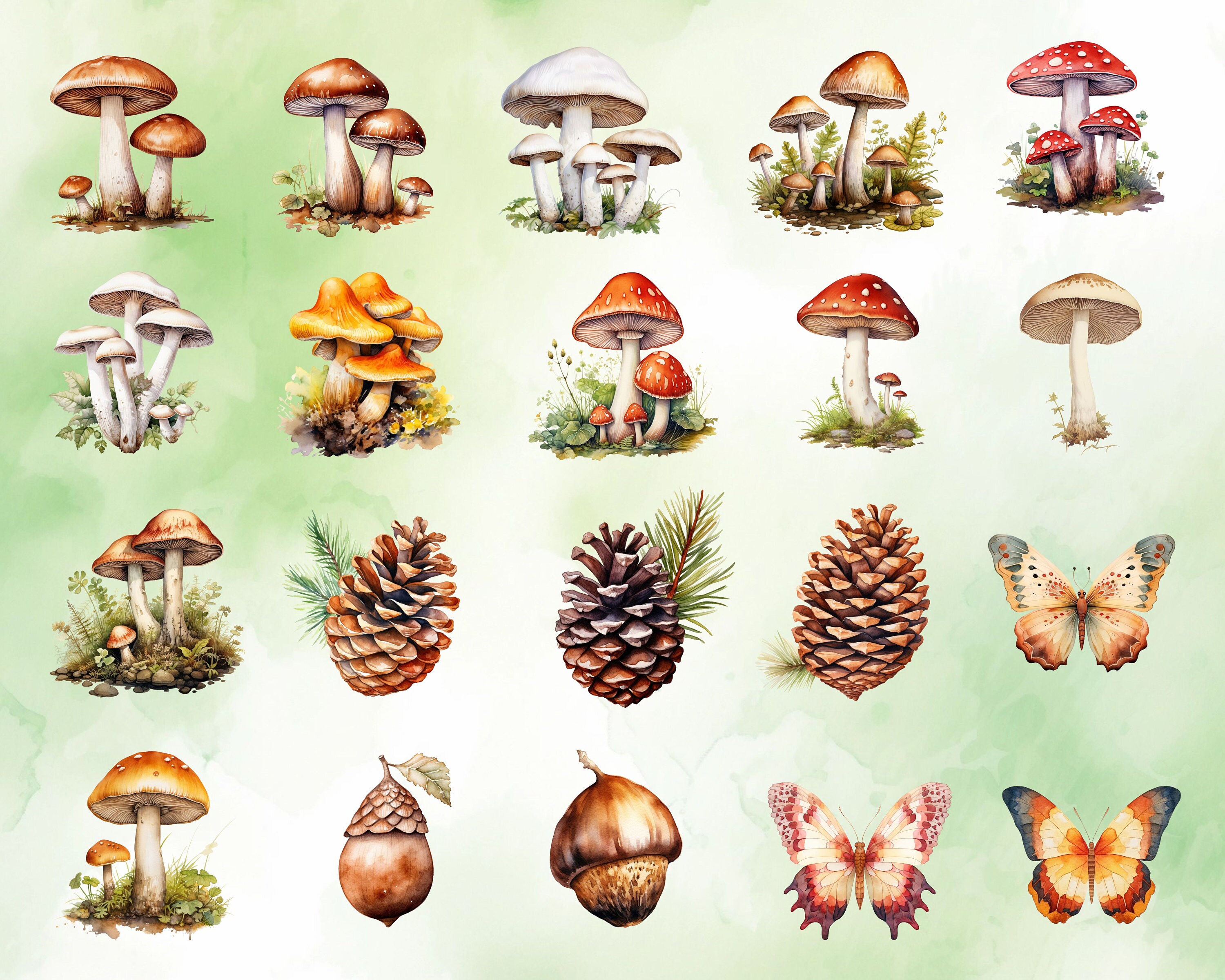 Woodland PNG Clipart 120 Transparent Woodland Animals Huge PNG Bundle ...