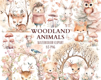 Watercolor Woodland PNG Clipart Transparent Woodland Animals PNG Bundle ...