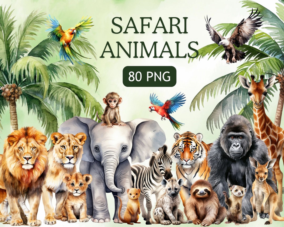 Safari PNG Clipart - 80 Transparent Safari Animals Huge PNG Bundle ...