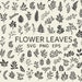 100 Leaves & Branches SVG Clipart - Leaf Vector Bundle - Greenery Svg ...