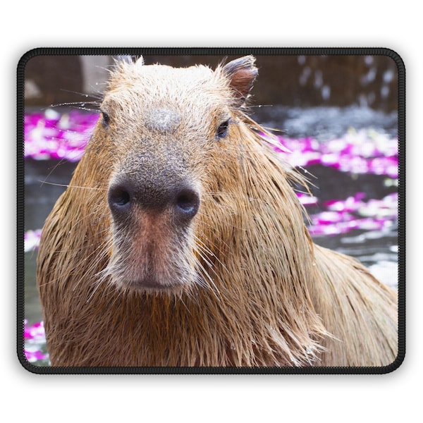 Capybara Mouse Pad - Etsy