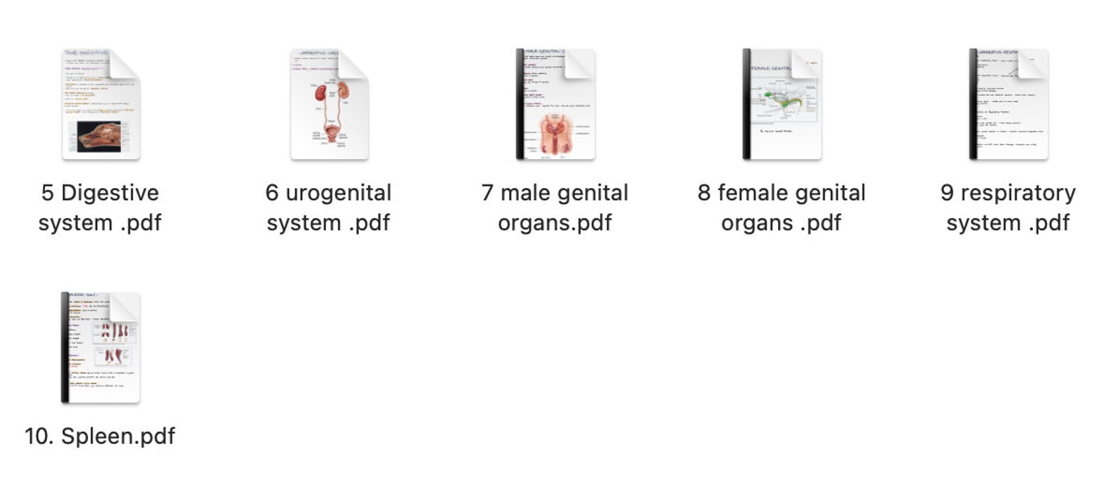 Vet Anatomy Organ Systems Bundle - Etsy