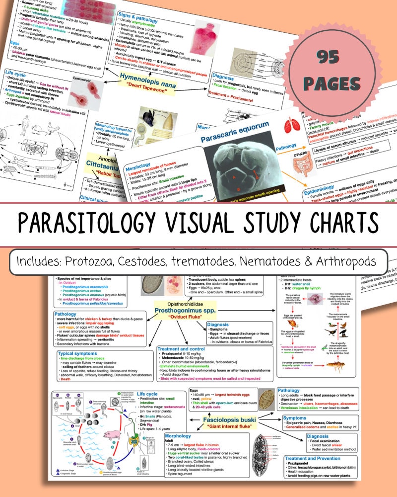 Veterinary Parasitology Bundle - Etsy