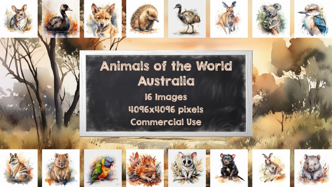 Wildlife Art Prints Animals of Australia - Instant Download ...