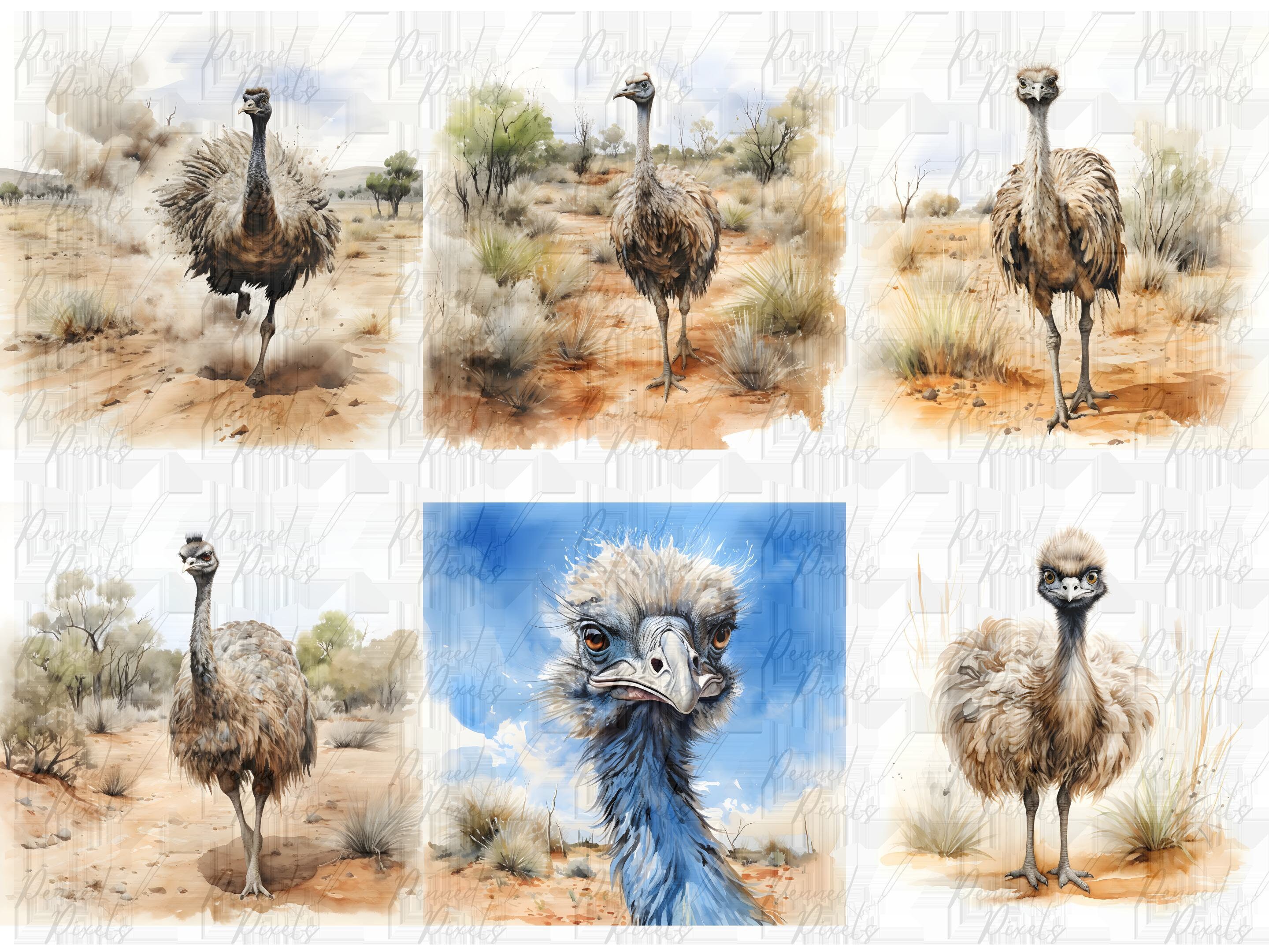 Australian Emus - Wildlife Art Prints Animals of Australia - Instant ...