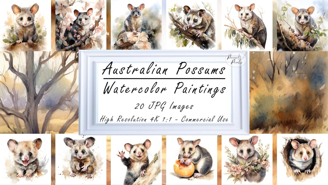 Australian Possums - Wildlife Art Prints Animals of Australia Instant ...