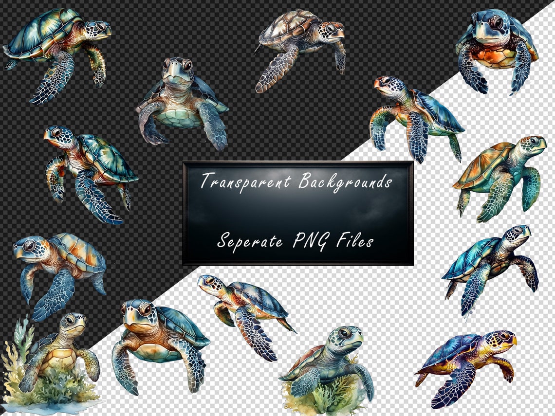Sea Turtle Clipart, Cute Watercolor Sea Animals PNG Clip Art Graphics ...
