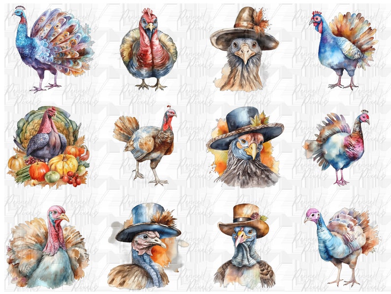 American Turkey Clipart, 50 Cute Turkey Bird Water Color Clipart for ...