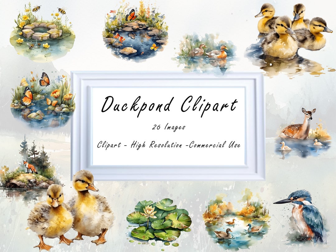 Watercolor Duckpond Clipart, Butterfly Graphics (commercial Use ...