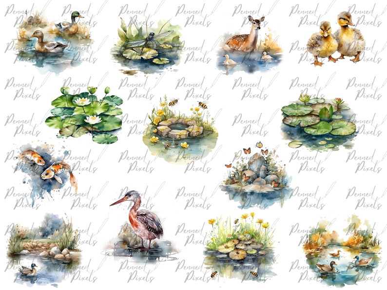 Watercolor Duckpond Clipart, Butterfly Graphics (commercial Use ...