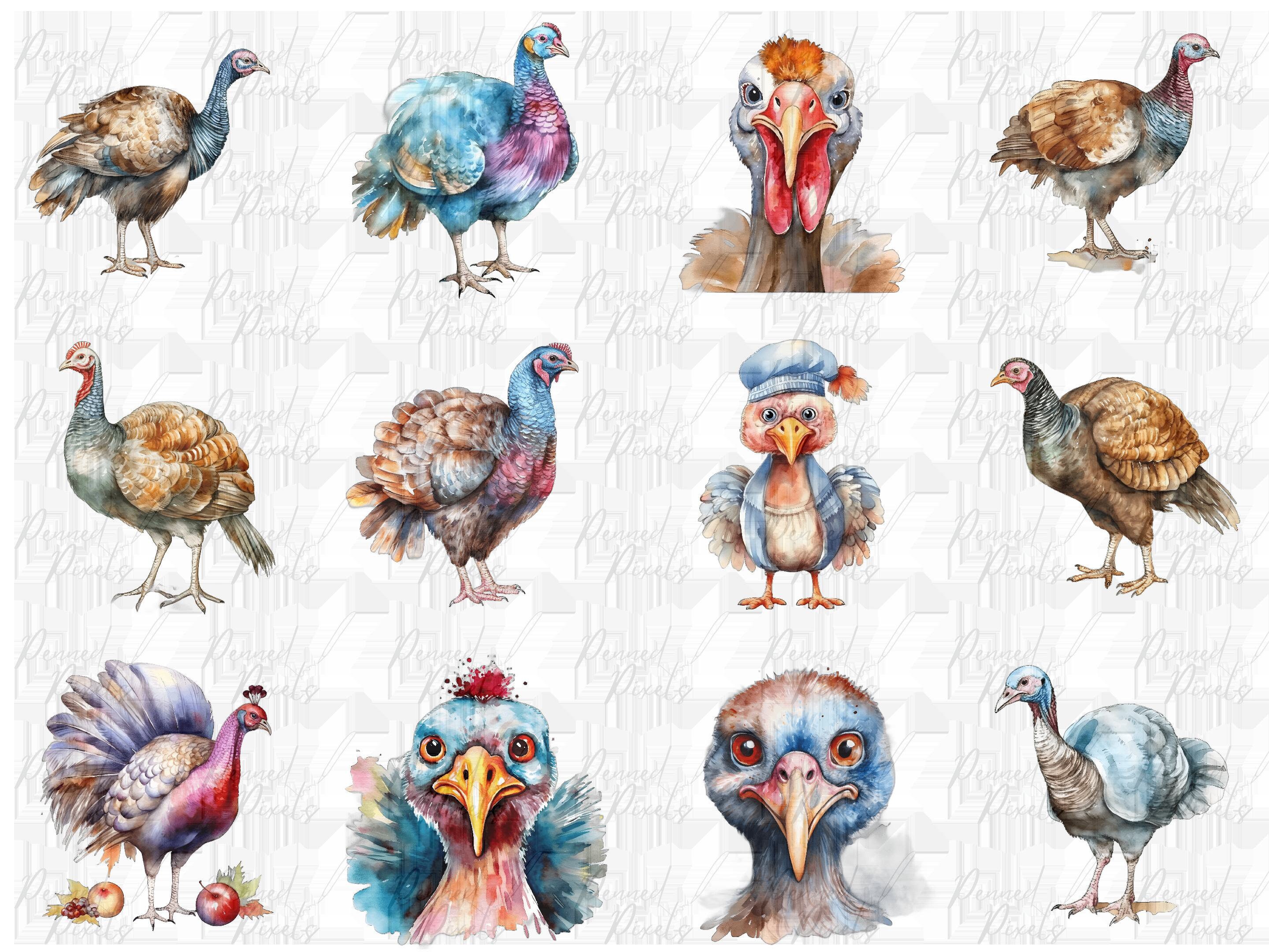 American Turkey Clipart, 50 Cute Turkey Bird Water Color Clipart for ...
