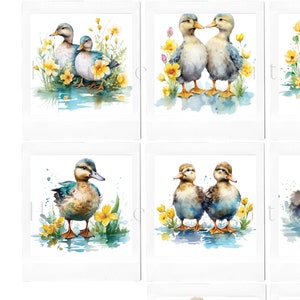 Watercolor Duck Clipart, Duck Art, Cute Ducklings, Ducks PNG, Wall Art ...