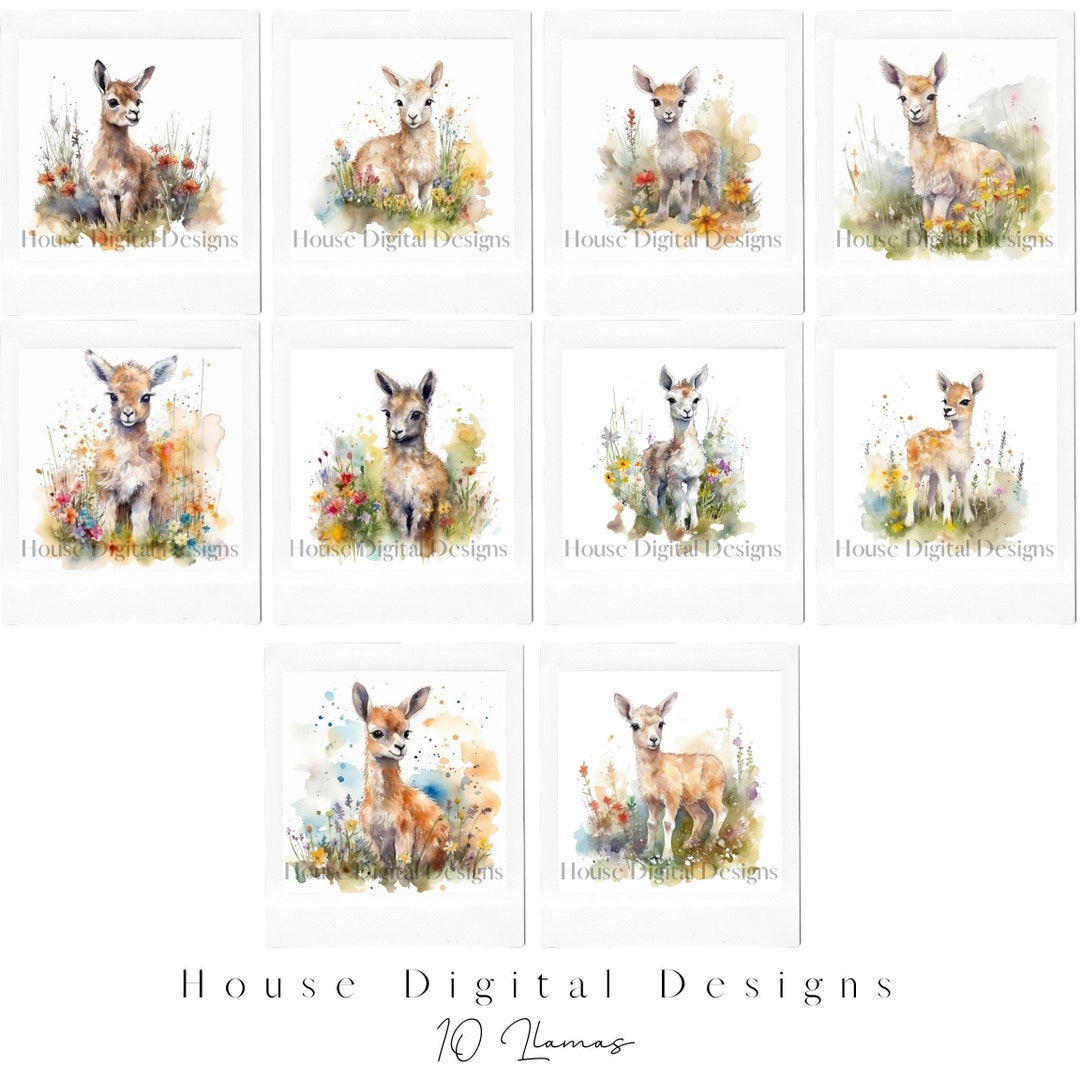 Baby Llamas Watercolor, Transparent PNG Digital Download, Commercial ...