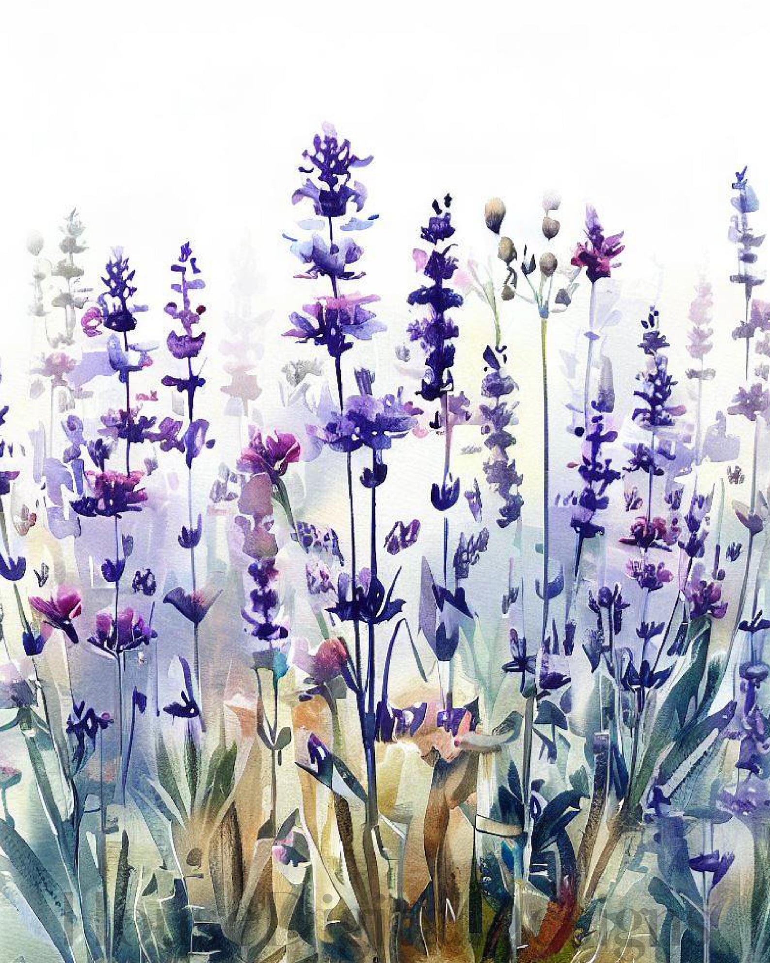 Lavender Flower Art Wall Art Digital Print-on-demand - Etsy
