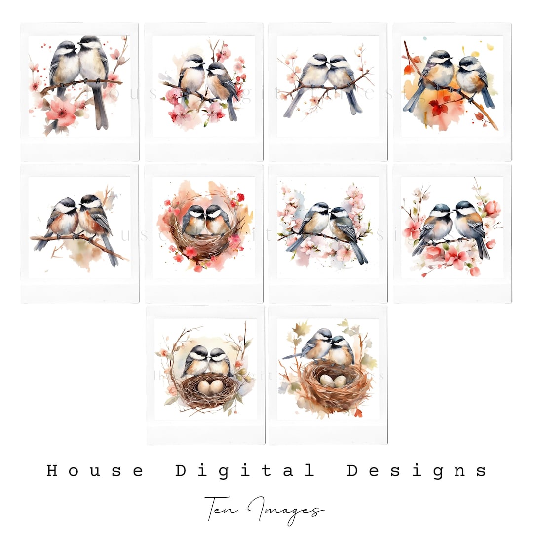 Chickadee, Spring Watercolor Illustration, Black-capped Chickadee, Card ...