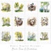 Chickadee, Birch Trees Watercolor Portraits Illustration, Black-capped ...