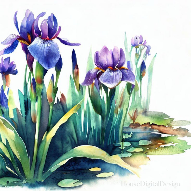 Watercolor Iris Blooms, Iris Watercolor Digital Art, Watercolor Irises ...