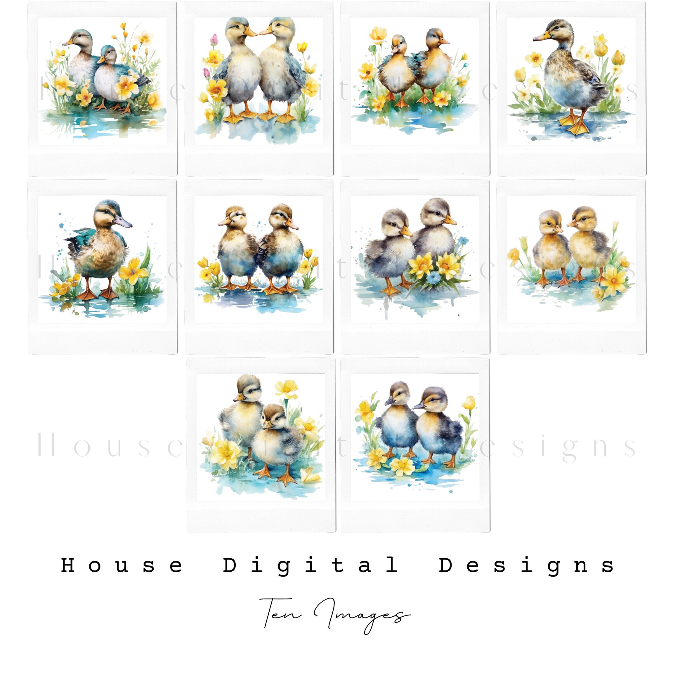 Watercolor Duck Clipart, Duck Art, Cute Ducklings, Ducks PNG, Wall Art ...