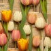 Tulip Flowers With Newspaper, Print on Demand, Clipart Png, Digital ...