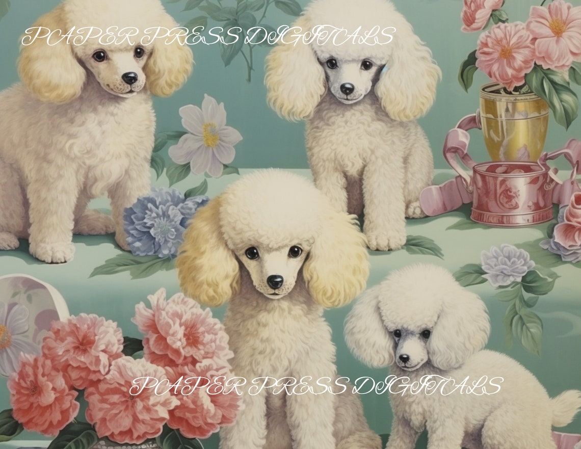 Shabby Chic Vintage Miniature Poodles 1, Paper Pack, Digital Art Paper ...