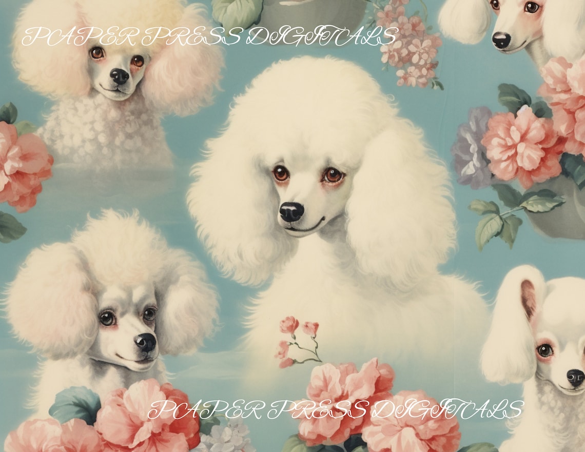 Shabby Chic Vintage Miniature Poodles 1, Paper Pack, Digital Art Paper ...