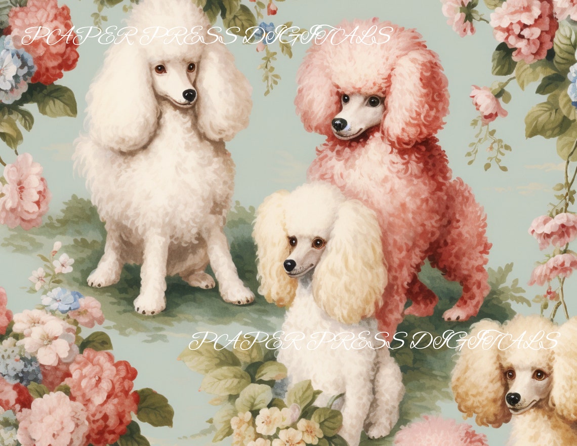 Shabby Chic Vintage Miniature Poodles 1, Paper Pack, Digital Art Paper ...