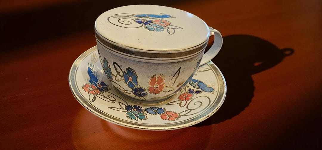 Dana Kubick 1997 BIRDS Tin Cup & Saucer W/lid by Elite Gift Box - Etsy