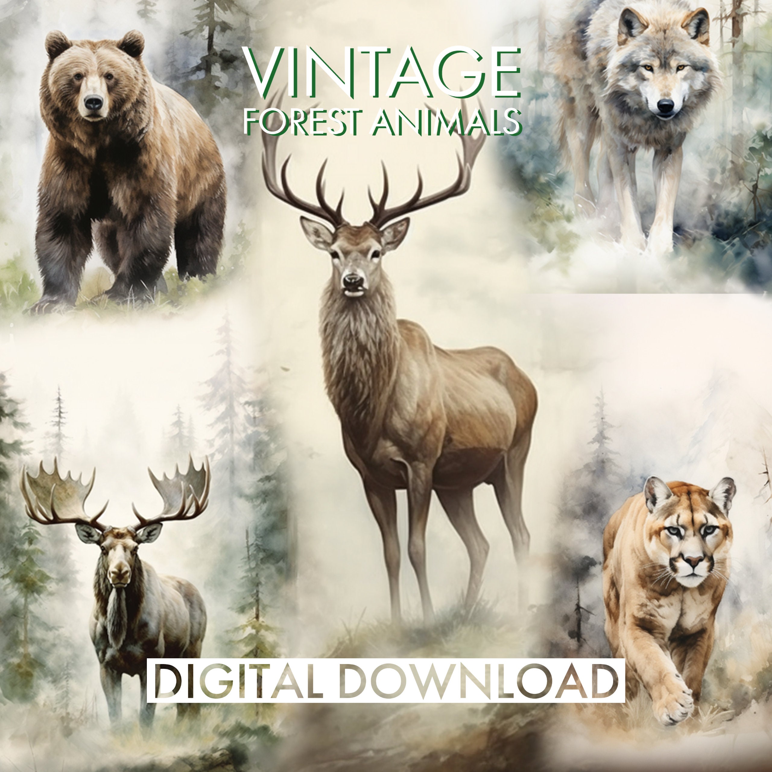 PRINTABLE Vintage Forest Animals Animal Wall Art Print Forest Wildlife ...