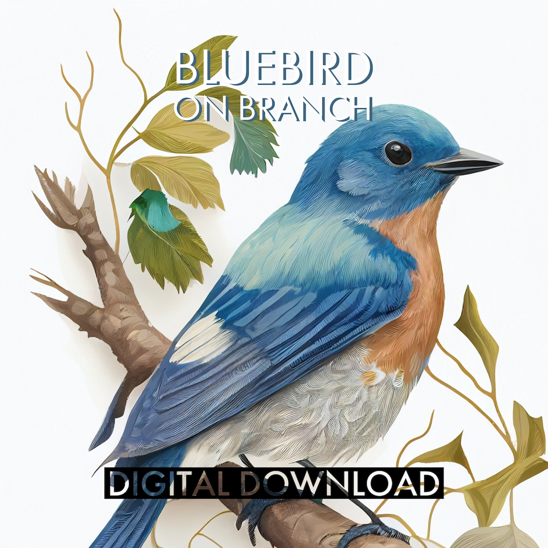 PRINTABLE Bluebird on a Branch | Bluebird Wall Art Print | Bluebird Digital Download | Bluebird ...