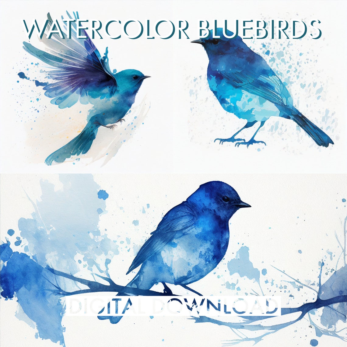 PRINTABLE 3 Print Set of Watercolor Bluebirds | Bluebird Wall Art Print ...
