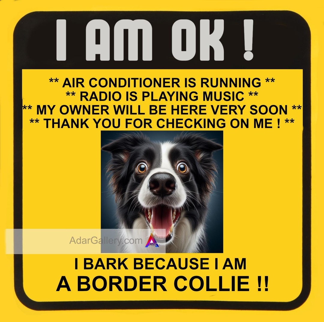 Custom Dog on Board OK Hanging Sign |use Your Pup Photo or Use Ours ...