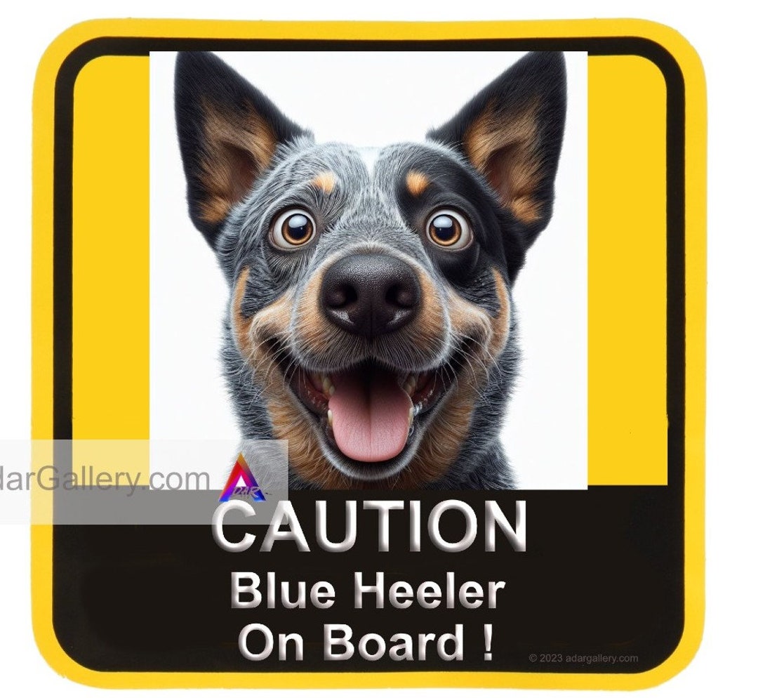 BLUE HEELER Stickers dog on Board Dog Stickers for Car Drivers Behind ...