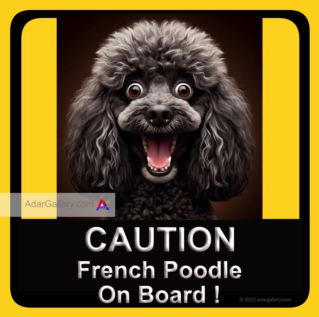 FRENCH POODLE! | Stickers "dog on Board" | Dog Stickers for Car ...