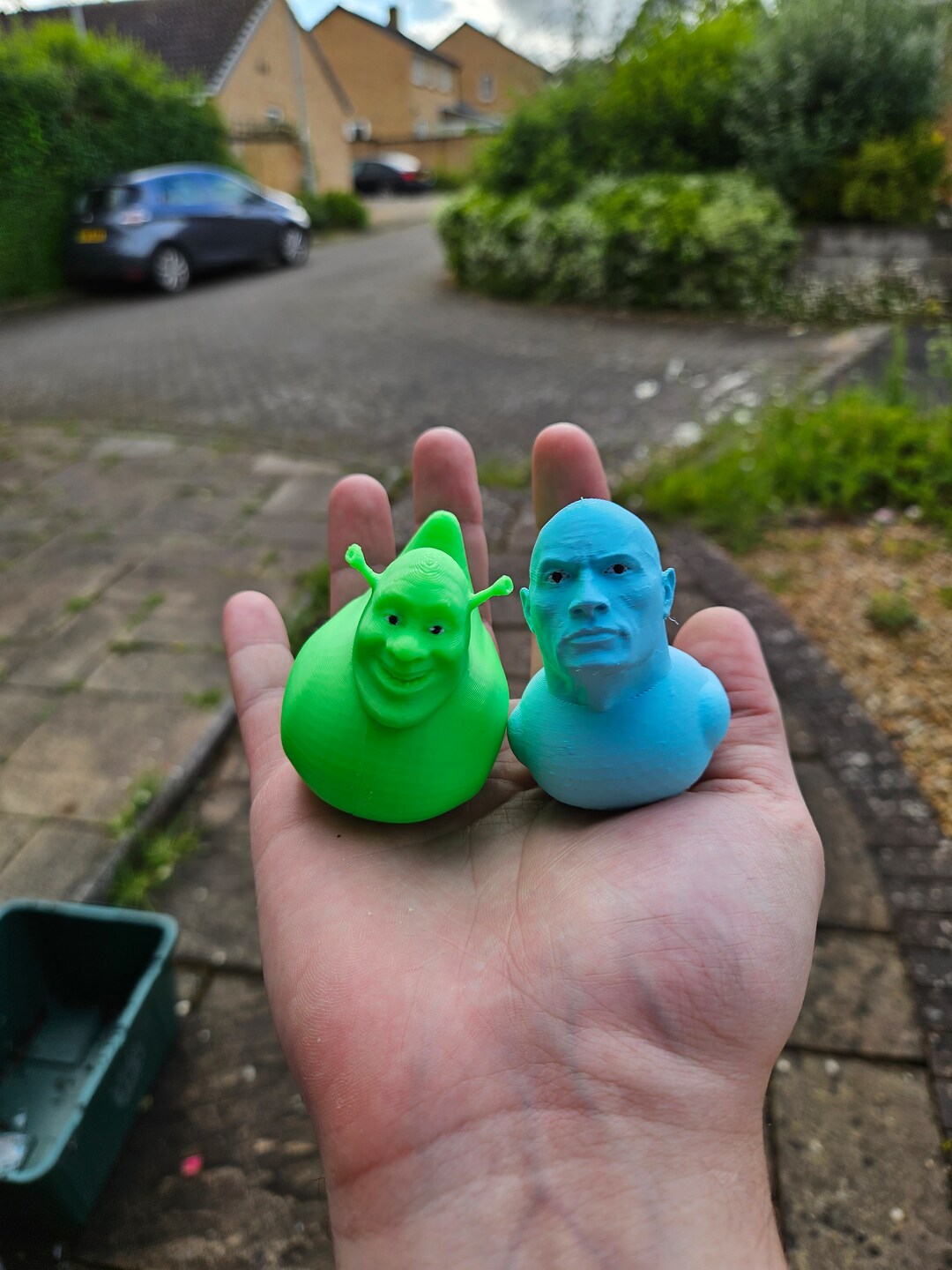 Bundle Dwayne the rock Johnson & Shrek the Ogre Themed 3D Printed ...