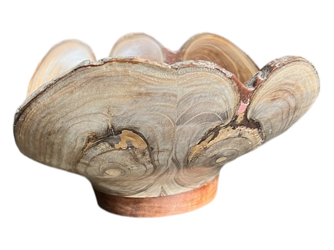 Unique Handmade Snowball Tree Wooden Bowl Perfect for - Etsy