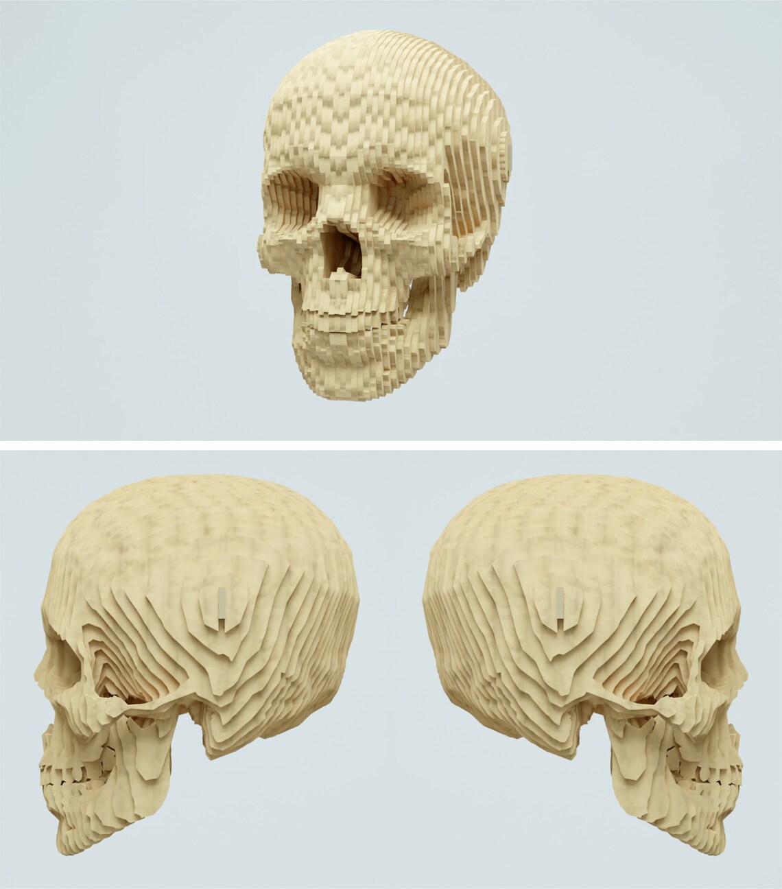 Human Skull, Skull Cardboard Sculpture, Anatomical Sculpture, Skull ...