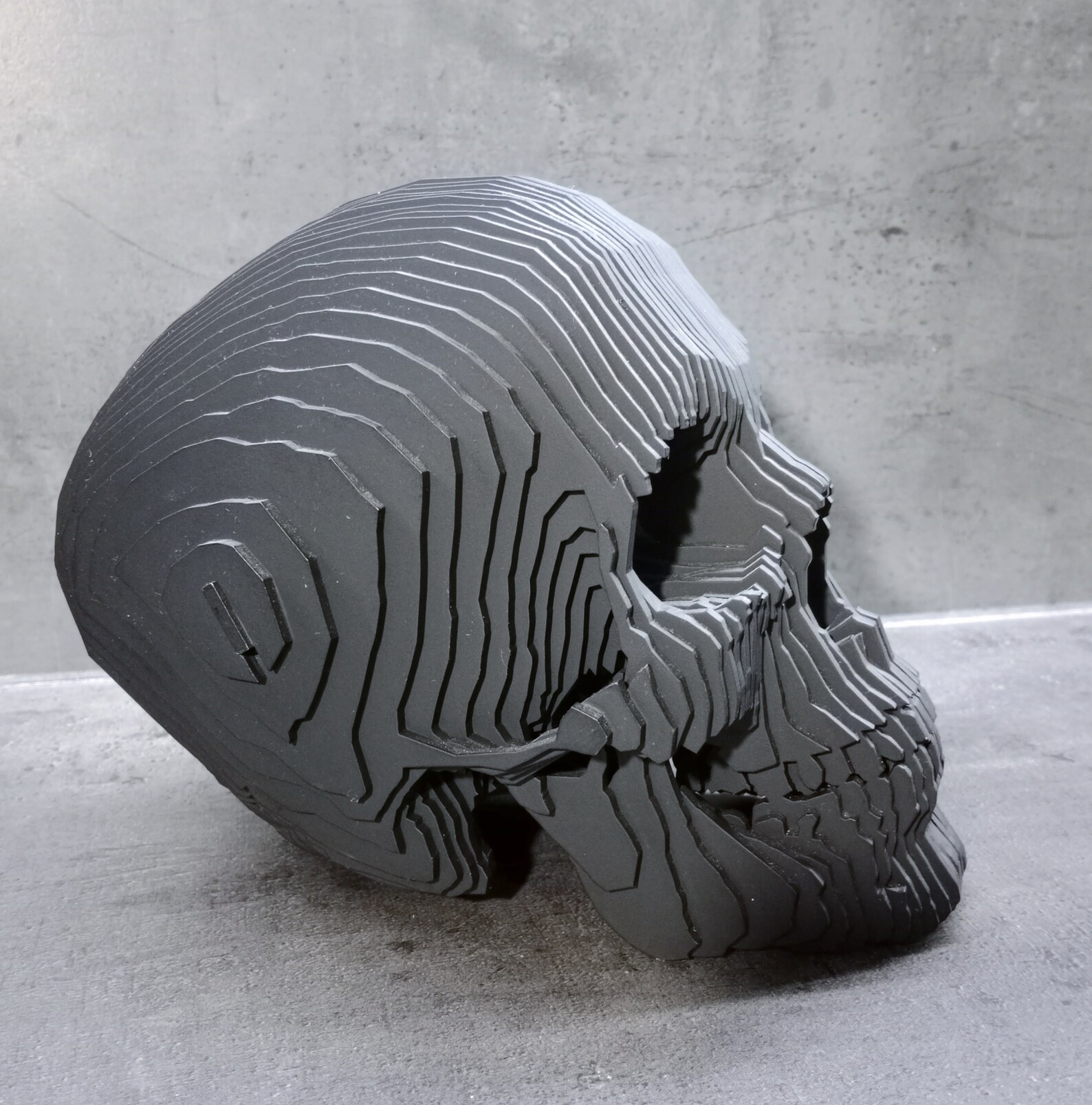 Human Skull, Skull Cardboard Sculpture, Anatomical Sculpture, Skull ...