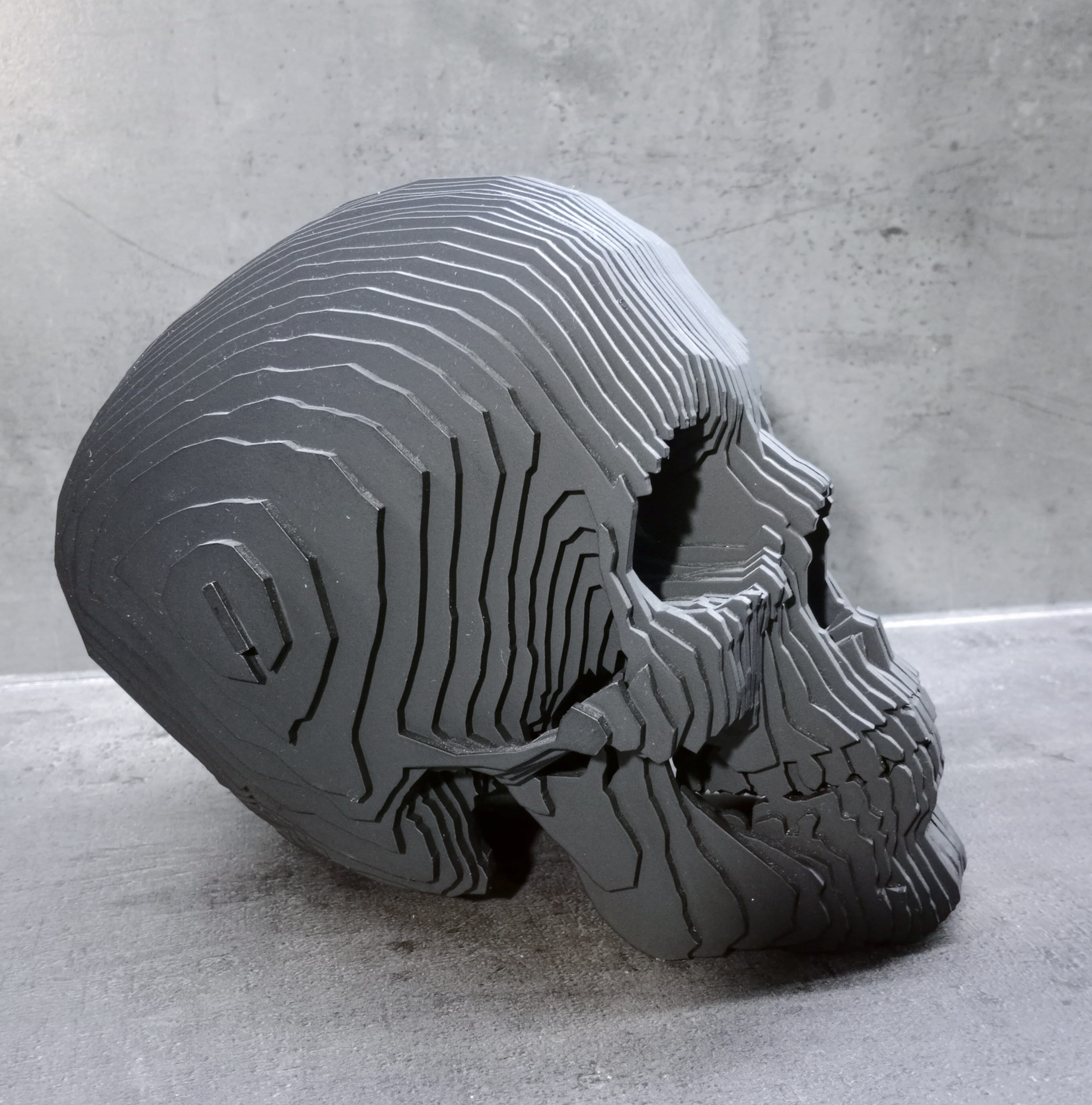 Human Skull, Skull Cardboard Sculpture, Anatomical Sculpture, Skull ...