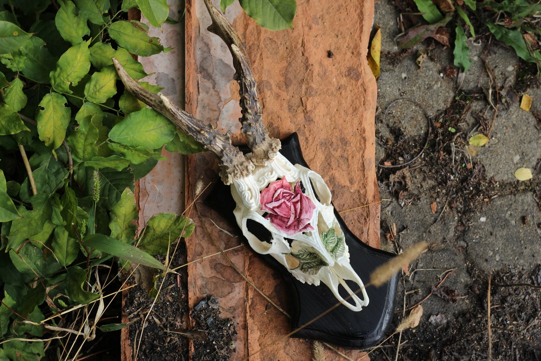 Carved and Painted Real Skull - Etsy