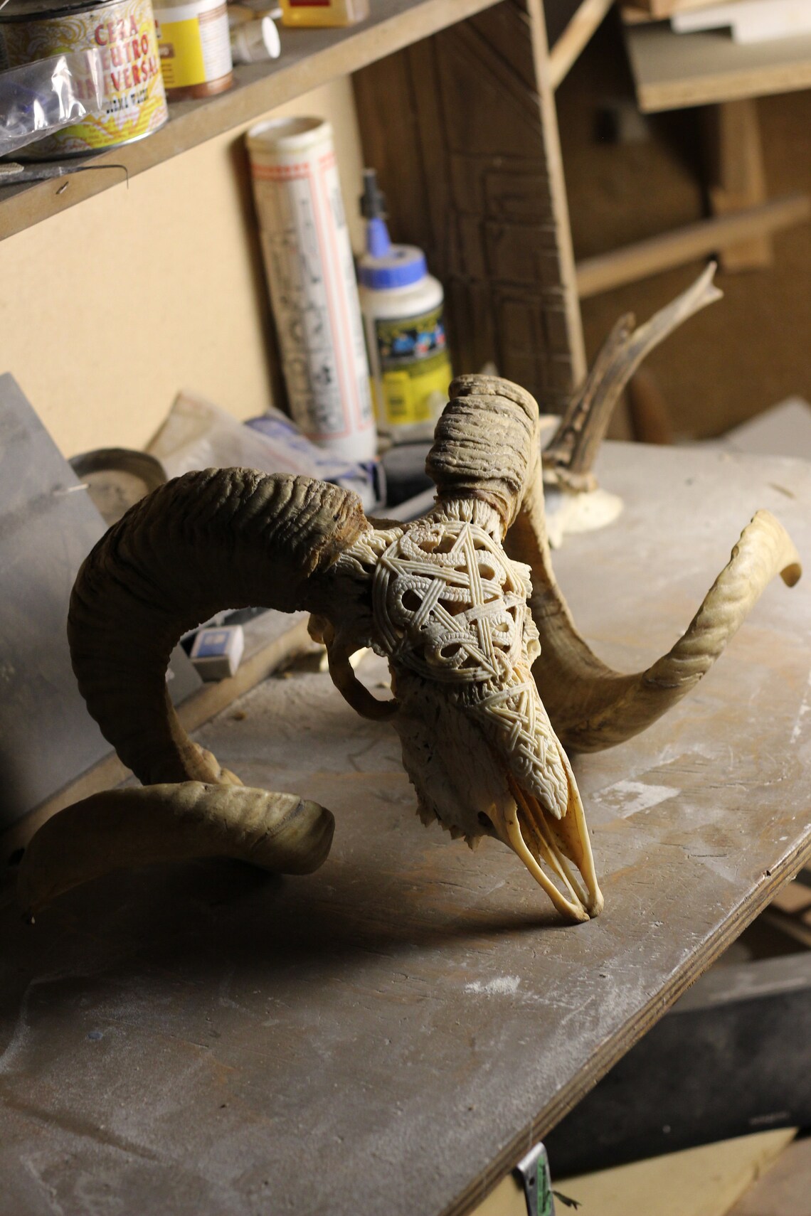Carved Real Ram Skull - Etsy