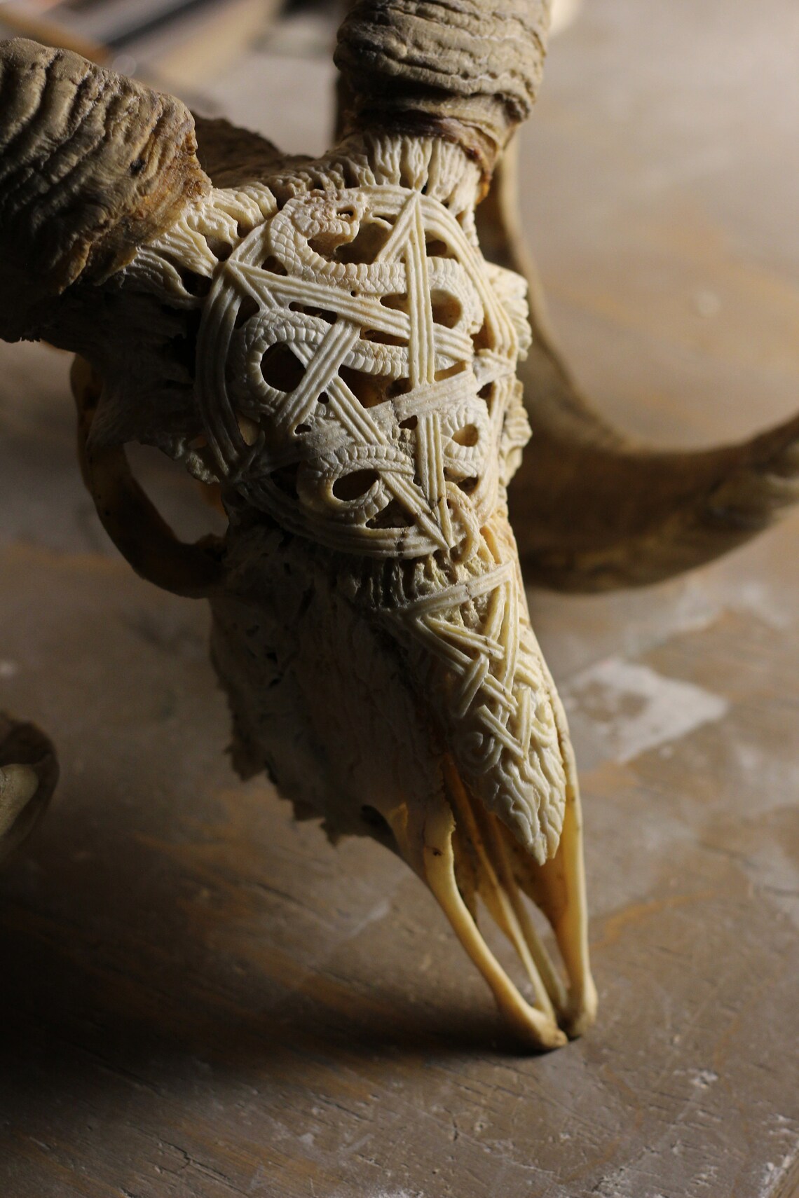 Carved Real Ram Skull - Etsy