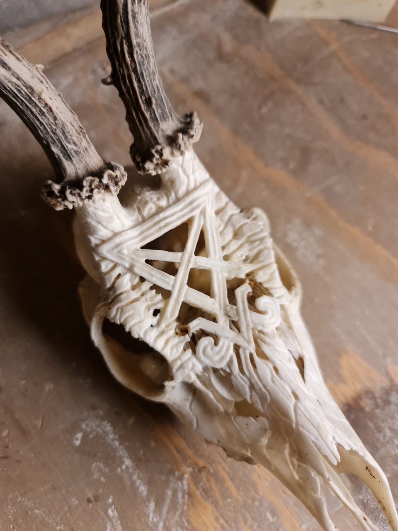Carved Real Skull Lucifer Sigil - Etsy
