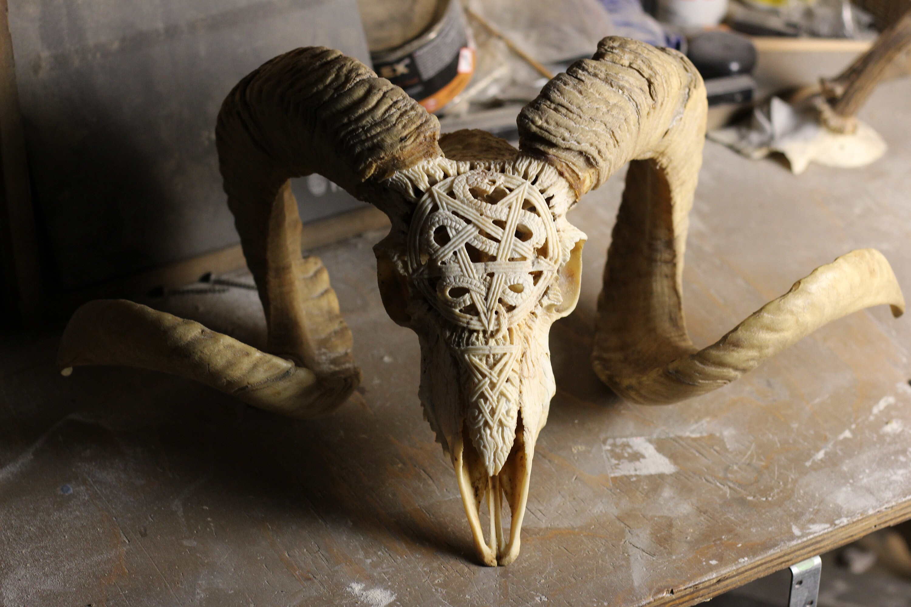 Carved Real Ram Skull - Etsy