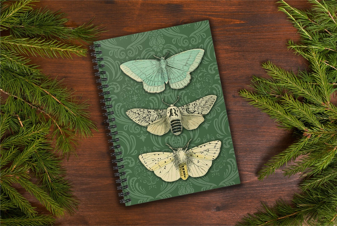 Cottagecore Moth Notebook With Insects Dark Academia Moth - Etsy
