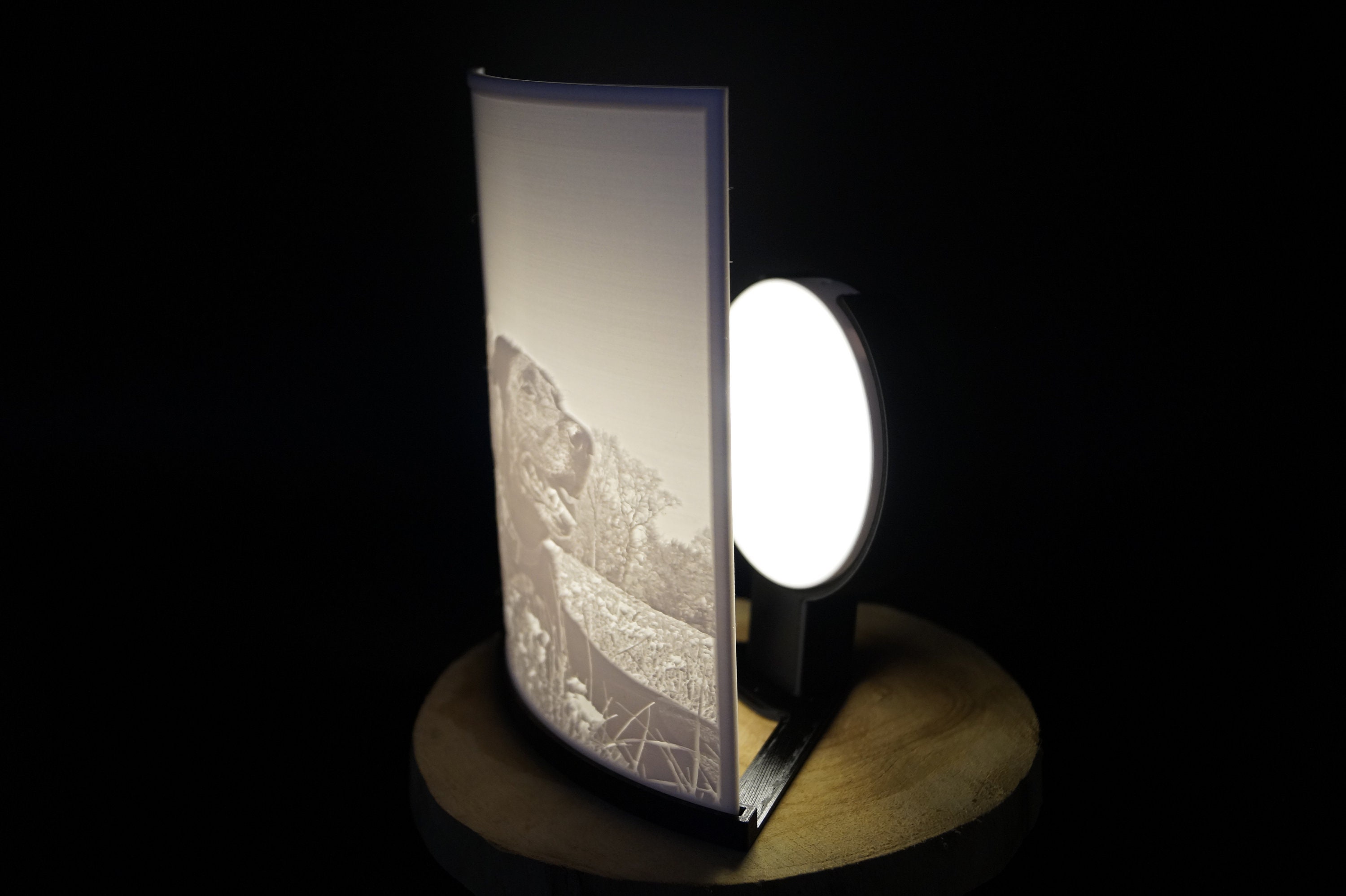 Lithophane Lampe inkl. hochwertiger Beleuchtung, Lithographie, Bild ...