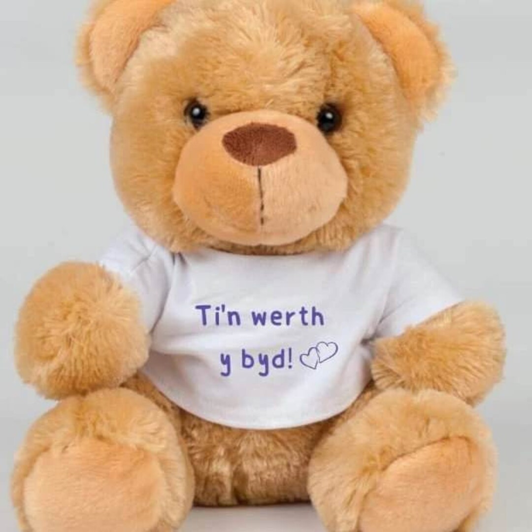 Tedi Mawr Ti'n Werth Y Byd! Large Teddy. - Etsy