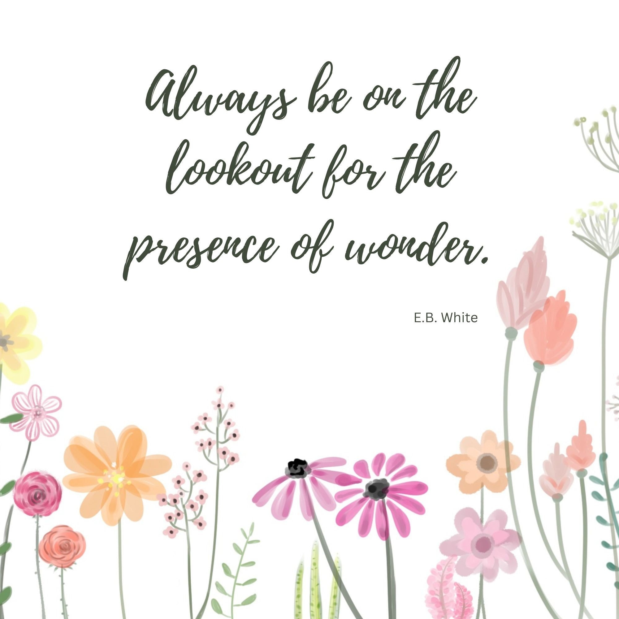 E.B. White Quote, always Be on the Lookout for the Presence of Wonder ...