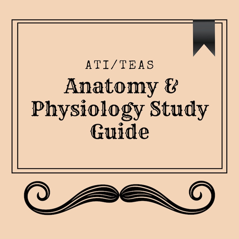ATI Teas Anatomy & Physiology Study Guide - Etsy